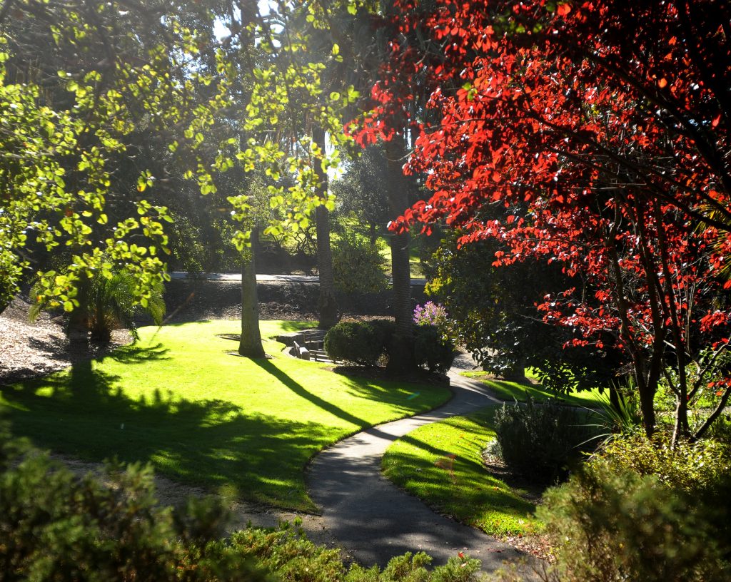 CAGWIN & DORWARD - Sperber