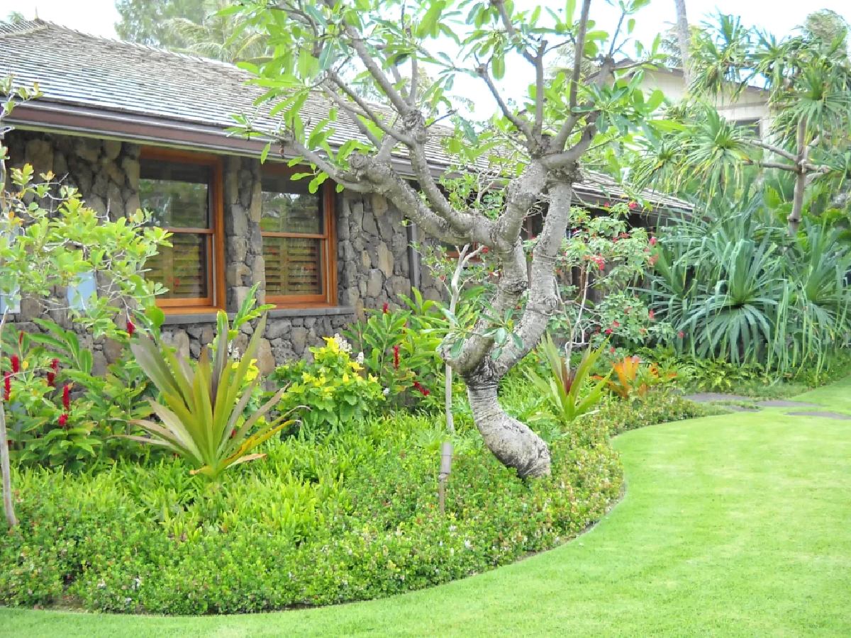 ULTIMATE INNOVATIONS - Sperber