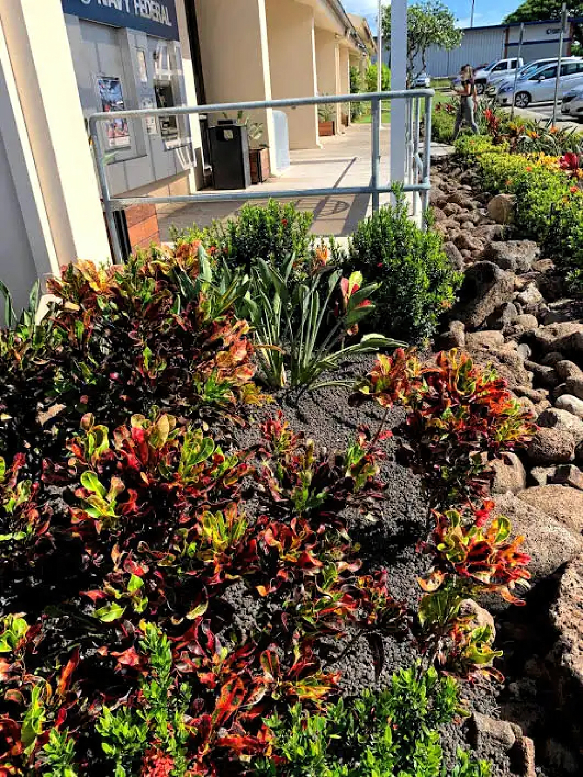 ULTIMATE INNOVATIONS - Sperber