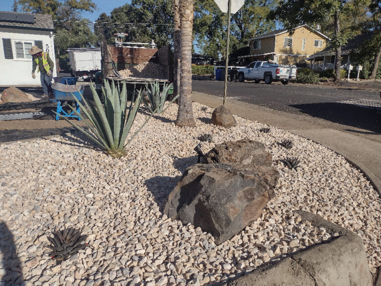 California’s Potable Water Ban on Non-Functional Turf